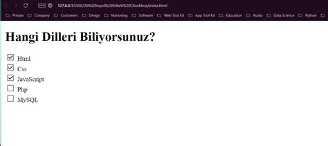 Frontend Developer Roadmap Html 5 Tutorial 36 Form Nesneleri 3
