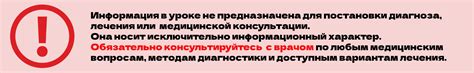 Урок Витамин P биофлавоноиды Курс Квазивитамины Факультет Нутрициология Московский