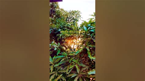 Aap Soye Ho Ya Jage Ho Shorts Sunset Ytshortsfyp Fypシ Motivationalfun Youtube