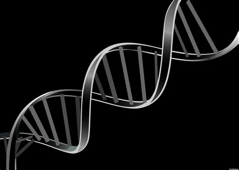 Origin Of Life In RNA Study Suggests Genetic Molecules May Have Self Assembled HuffPost