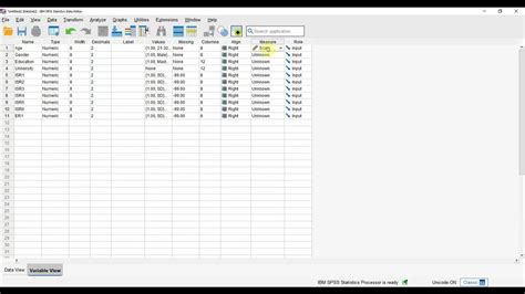 Spss For Beginners Simple Data Entry Method Youtube
