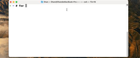 Why Golang Is Great For Portable Apps By Johanan Liebermann Codeburst