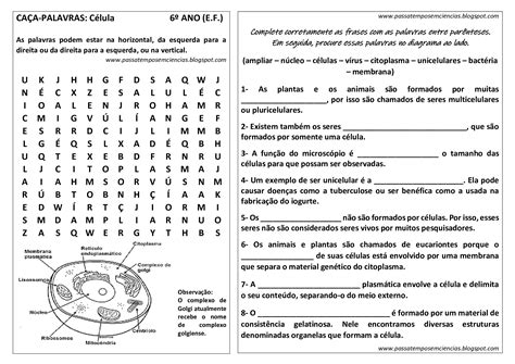 Passatempos Em Ciências E Meio Ambiente CaÇa Palavras Célula 6º Ano Ef