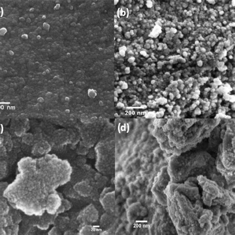 Sem Micrographs For The Samples A Tio 2 B 0 5 Fe Tio 2 C 1 Download Scientific