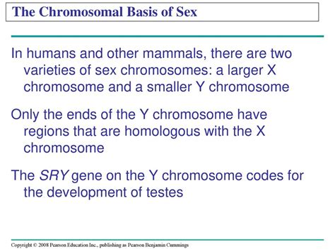 Recessive Ppt Download