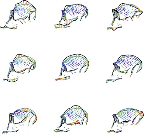 Common Chimpanzee To Human Selection Gradient Versus Neutral Vectors