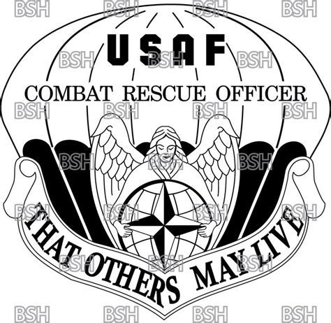 Usaf Cro Patch Vector Image Files Ai Pdf And Svg Formats Plus Rasters Png And  Etsy