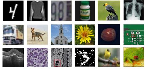 Sample Visualization Of Mnist Fashion Mnist Svhn