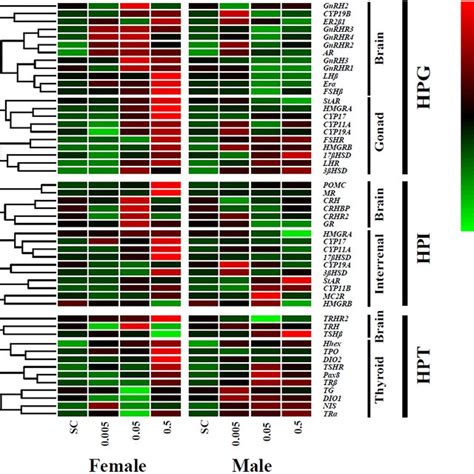 Sex‐dependent Response Profile In Adult Zebrafish After Exposure To Download Scientific Diagram