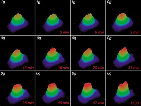 Dhm Quantitative Phase Images In Perspective 3 D View Showing The Cell
