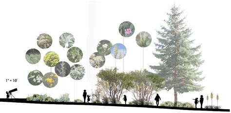 Ecology Design — Puentealameda