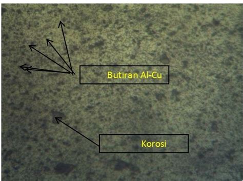 Gambar 7 Struktur Mikro Logam Induk Al 7075 Download Scientific Diagram