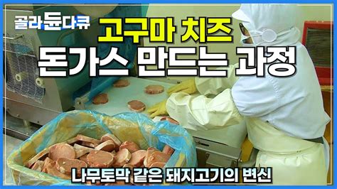 돌덩어리 돼지고기로 바삭한 고구마 치즈 돈가스 만드는 과정│돈가스 대량 생산 공장│극한직업│골라듄다큐 Youtube