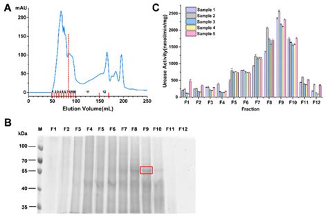 Activity And Enrichment Based Metaproteomics Insights Into Active Urease From The Rumen