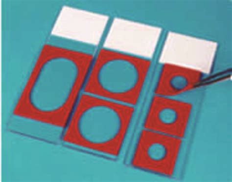 Fastwells™ Incubation Chambers Electron Microscopy Sciences Microarray Slides