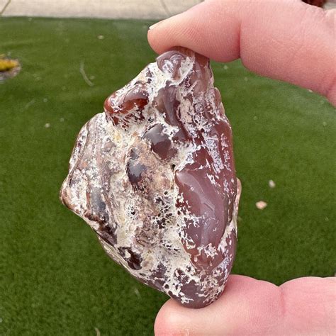 Pink Limb Cast Fossil From Texas Springs Nevada Specimen Tumbled To