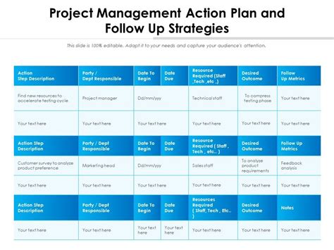 Project Management Action Plan And Follow Up Strategies Presentation Graphics Presentation