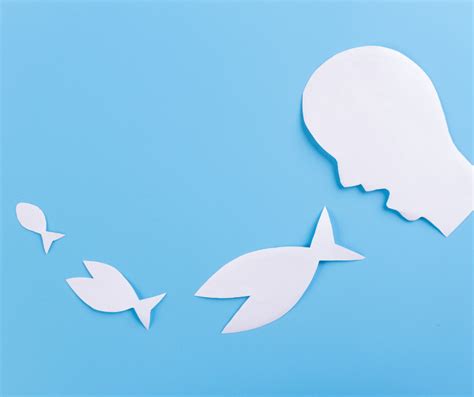 La Bioaccumulation Et Bioamplification Musée De La Biodiversité Du Québec