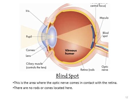 Understanding Eye Diagram Analysis A Guide To Improving Signal Integrity