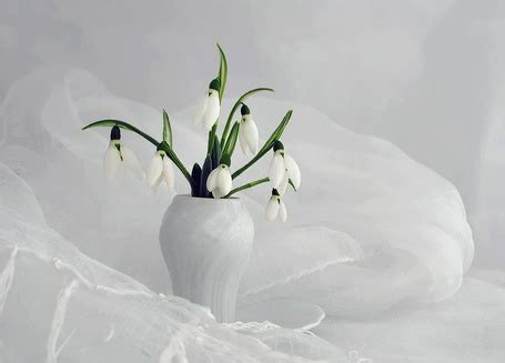 Фото Подснежники в прозрачной вазе