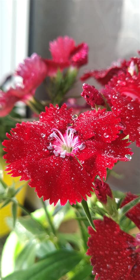 Khushi Jangid On Linkedin Cs