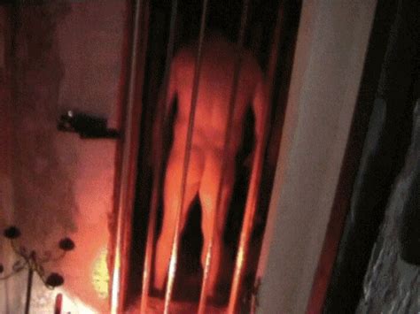 Violence To Men Branded For Life