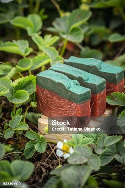 딸기 잎과 꽃 사이에 수제 천연 베리 비누의 향기로운 조각 피부 관리를 위한 화장품의 유기농 친환경 제품의 개념 Diy에 대한 스톡 사진 및 기타 이미지 Istock