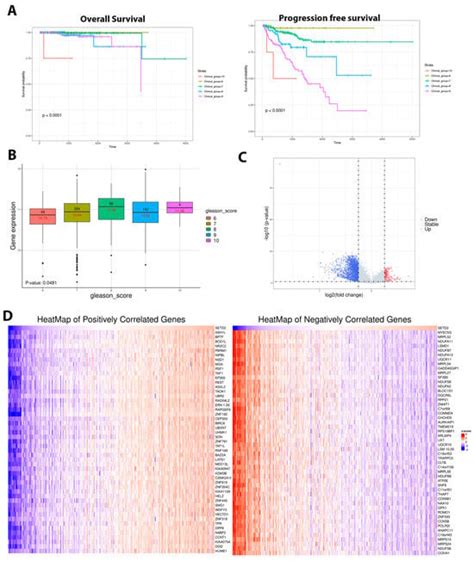 Exploring The Prognostic Significance Of Set Domain Containing 2 Setd2