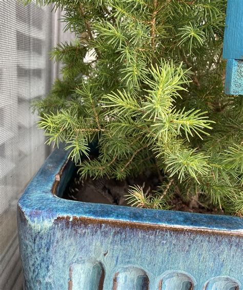 John Matthews On Linkedin Well I Had Great Plans For My Post This