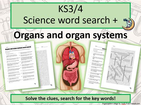 Ks34 Biology Organ Systems Word Search Teaching Resources