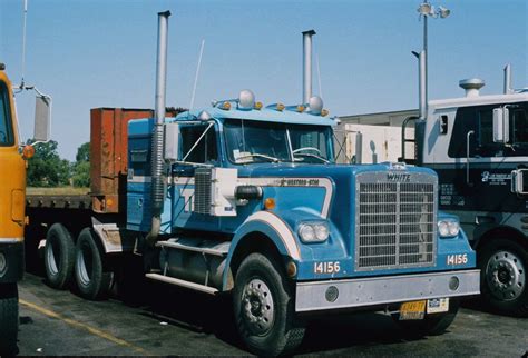 Wonderful Western Star This Sweet White Western Star Was T Flickr