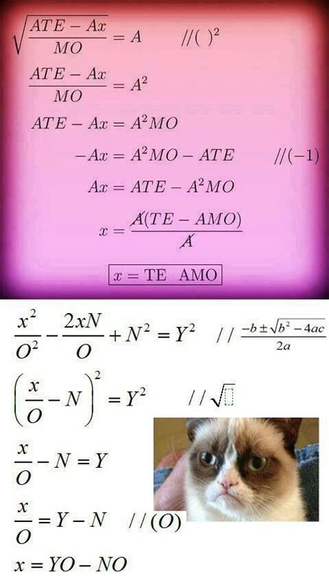 Lol Grumpy Math Cat Again Spanglish Memes Funny Pictures Humor