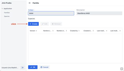 Instance And Collection In The Same Screen Support Jmix