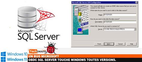 Bug Microsoft Obdc Sql Server Touche Windows Toutes Versions