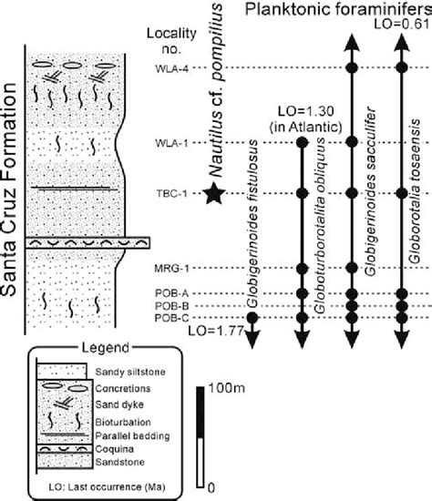 Columnar Section Of The Fossil Bearing Area Showing The Download Scientific Diagram