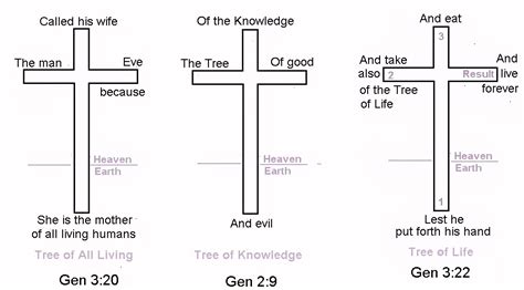 Tree Of Life The HOLY BIBLE Feminine Translation Version