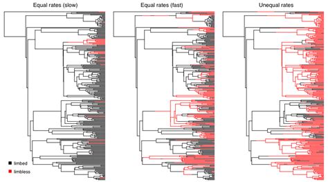 Models Of Discrete Character Evolution · Phylogenetic Comparative Methods