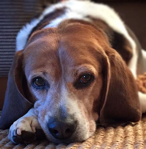 Infinite Possibilities User On Nightcafe Nightcafe