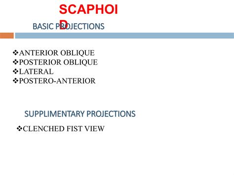 Basic And Supplementary Projections Of Thumb And Scaphoid Pptx