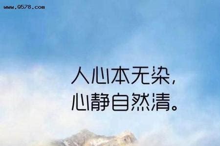 心静茶香的意思