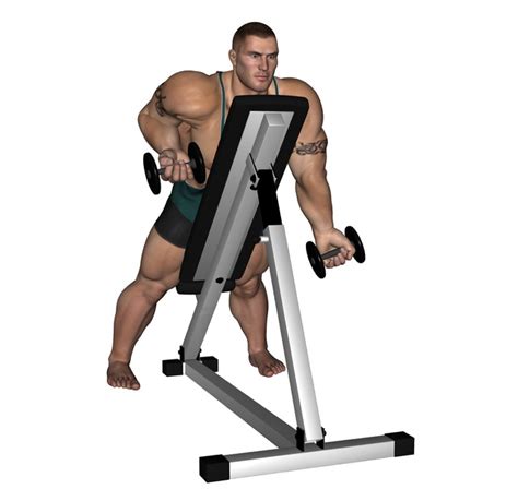 Reverse Row Incline Dumbbell Alternate Variation