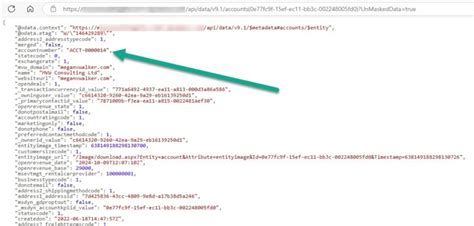 Secured Masking Rules In Dataverse Dynamics 365