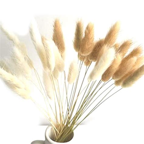 60pcs Mix Natural Lagurus Bunny Tails Pampas Grass Decor For Home
