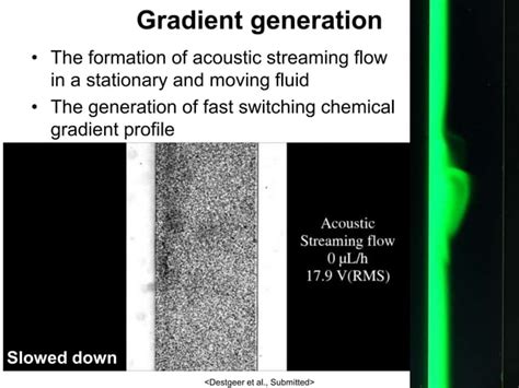 Particle Separation Chemical Gradient Control And Micromixing Via Focused Travelling Surface
