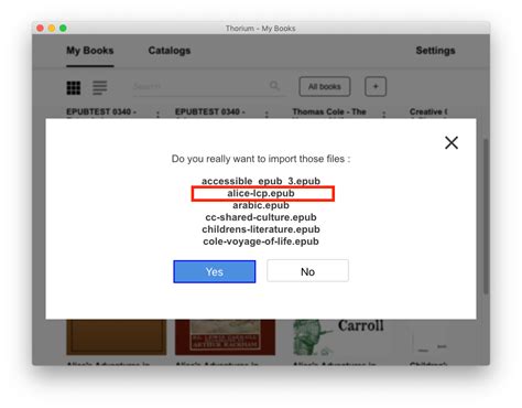 Multiple Epub Files Drag Drop Bulk Import First Fail Aborts Rest Of