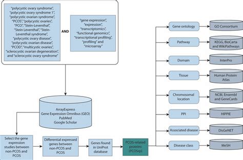 Example Steps To Obtain Gene Expression Datasets And The Biological Download Scientific Diagram