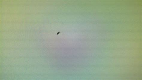 My Screen Is Bugged R Pcmasterrace