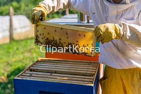 해외작가포토 클립아트코리아 통로이미지주