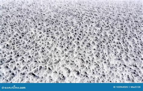 Elastic Porous Durable Elastic Structure At High Magnification Elastic Porous Durable Elastic Structure At High Magnification